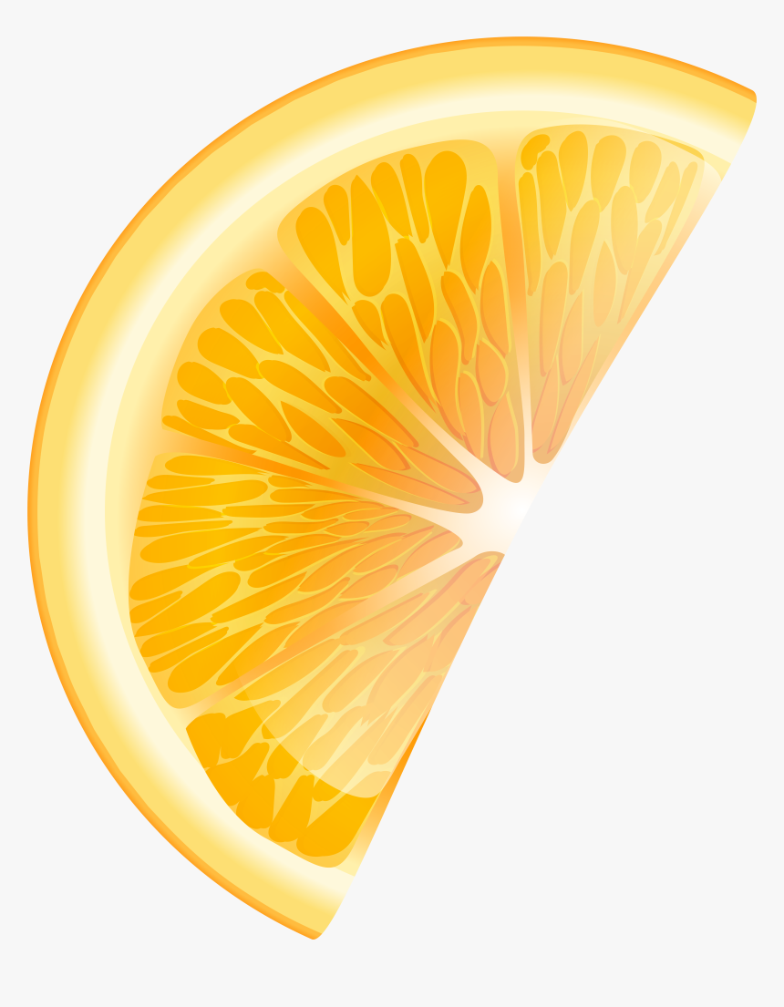 Orange Slice Png Clip Art, Transparent Png , Transparent Png Image ...