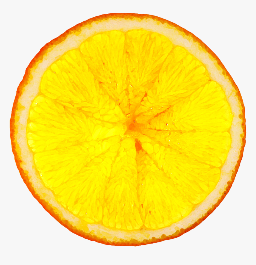 Blood Orange, HD Png Download , Transparent Png Image - PNGitem