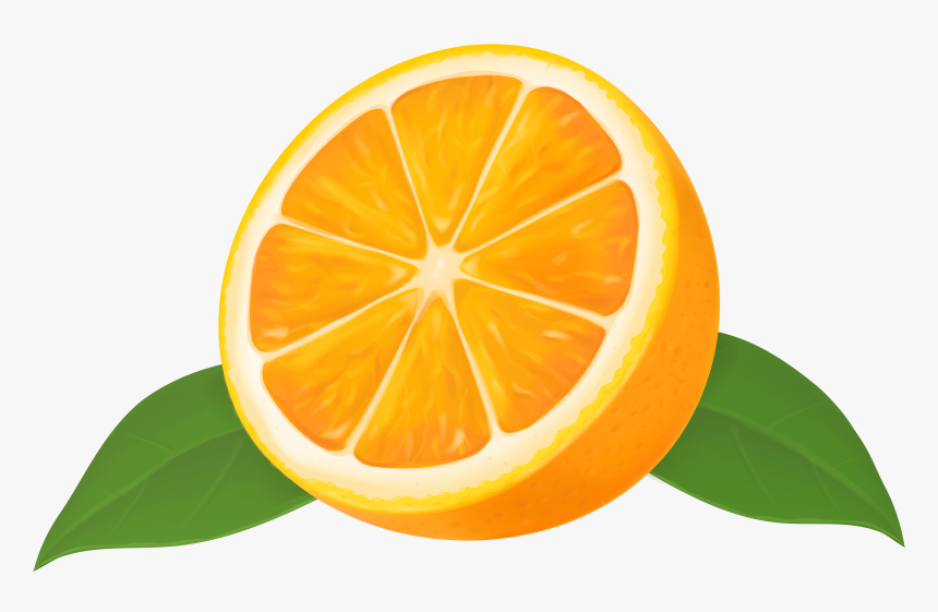 Half Orange Transparent Clip Art Image Gallery - Orange Clipart Png ...