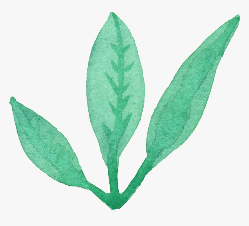 Watercolor Leaf Png - Free Leaves Watercolor Png, Transparent Png ...