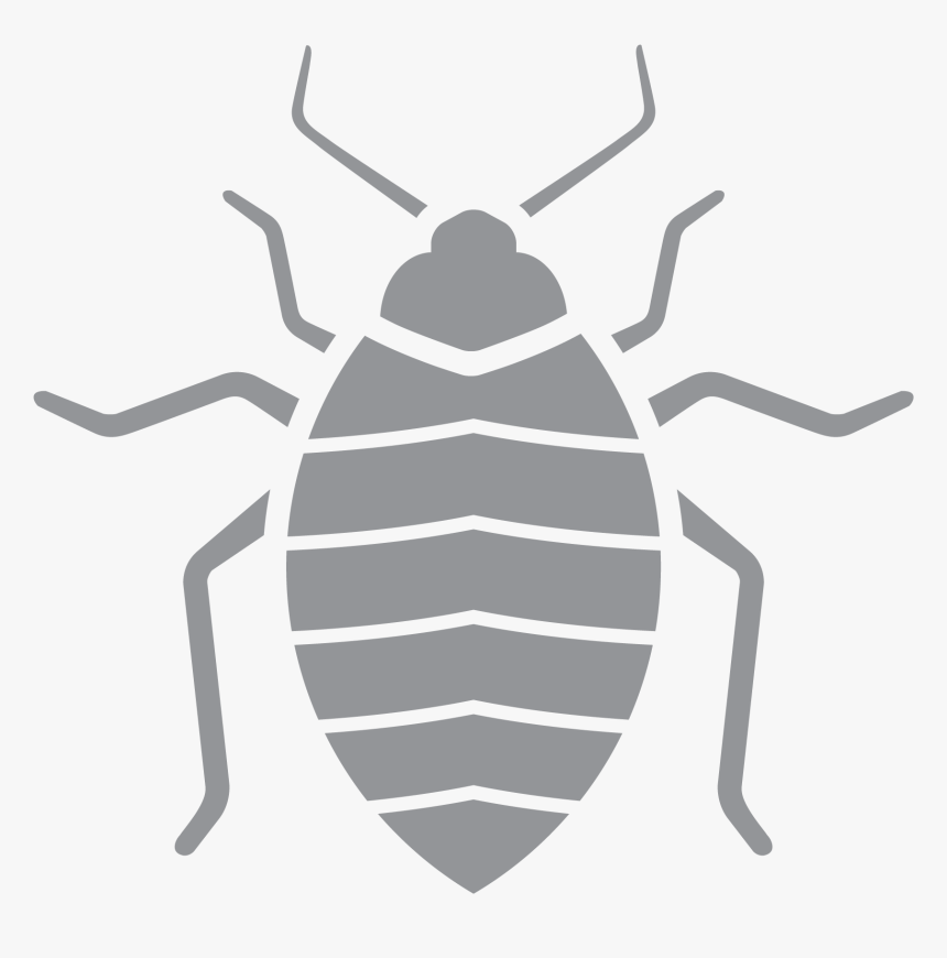 Pest Control, HD Png Download , Transparent Png Image - PNGitem