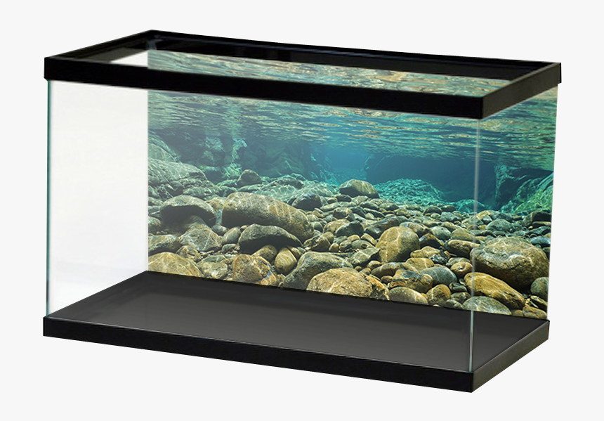 Transparent Underwater Png - Underwater Rocks, Png Download ...