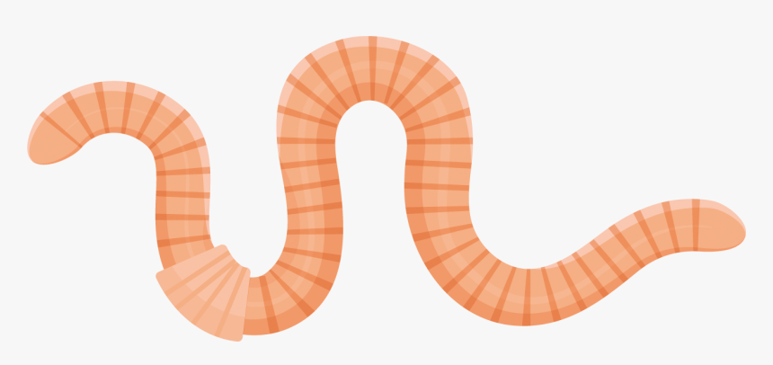 Worm Press, HD Png Download , Transparent Png Image - PNGitem