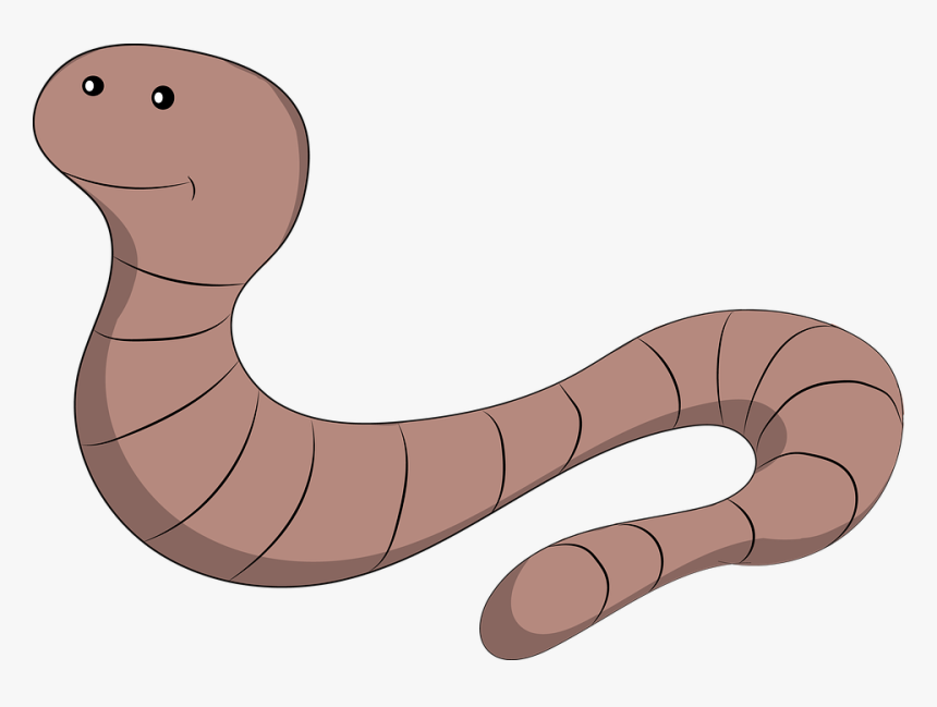 Earth Worm, Earthworm, Earth, Maggot, Nature, Hen, - Earth Worm, HD Png ...