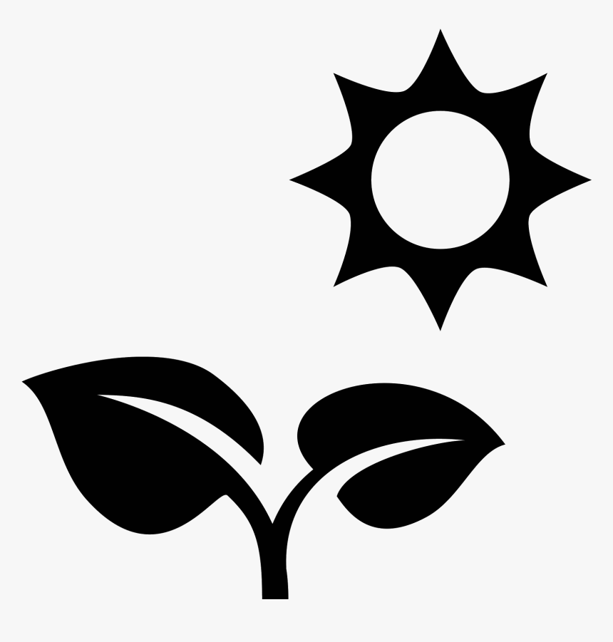 Transparent Sun Vector Png - Sun Plant Icon, Png Download , Transparent ...