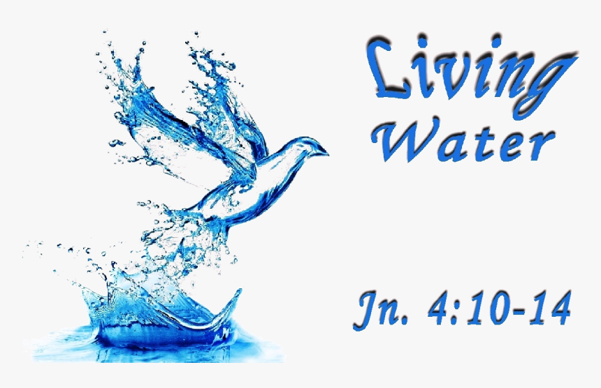 Picture1-copy - Holy Spirit Dove Water, HD Png Download , Transparent ...