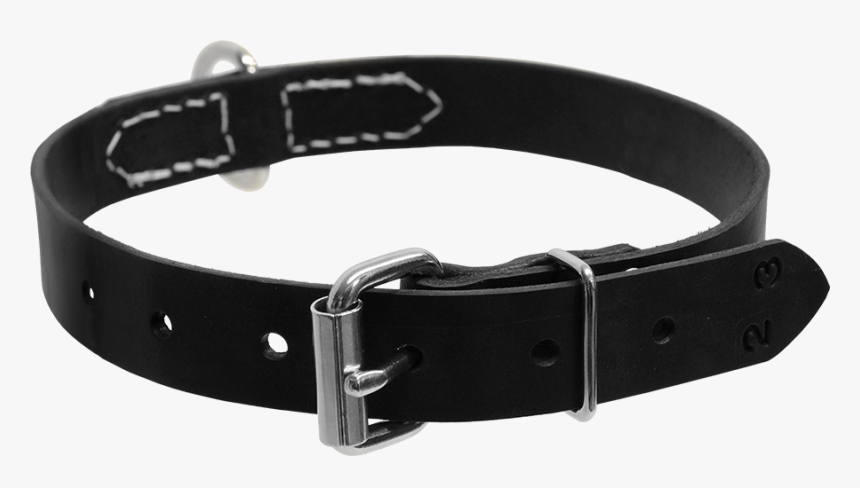 Dog Collar Transparent, HD Png Download , Transparent Png Image - PNGitem