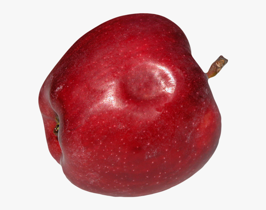 Mcintosh, HD Png Download , Transparent Png Image - PNGitem