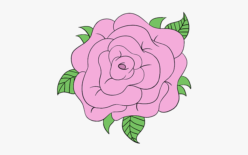 Pink Drawing Rose Transparent Png Clipart Free Download - Drawing, Png ...