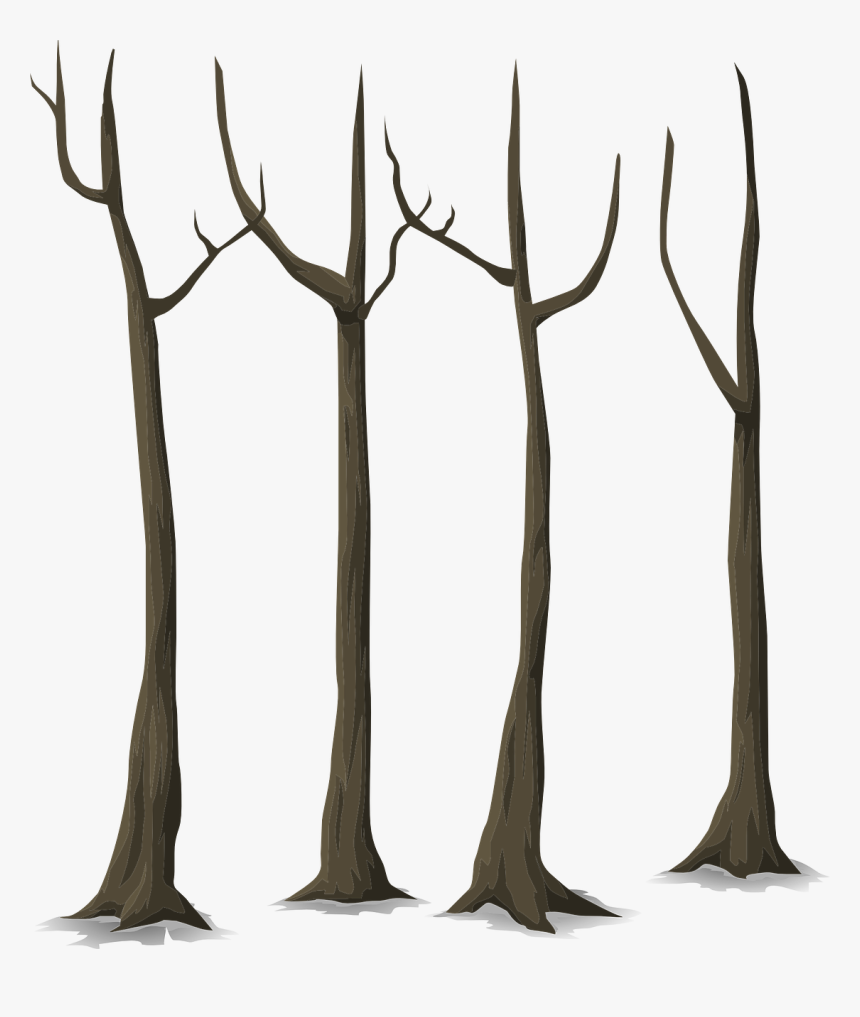 Tree Trunk Vector Png, Transparent Png , Transparent Png Image - PNGitem