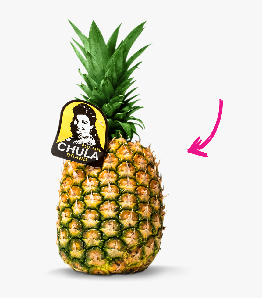 Chula Brand, HD Png Download , Transparent Png Image - PNGitem