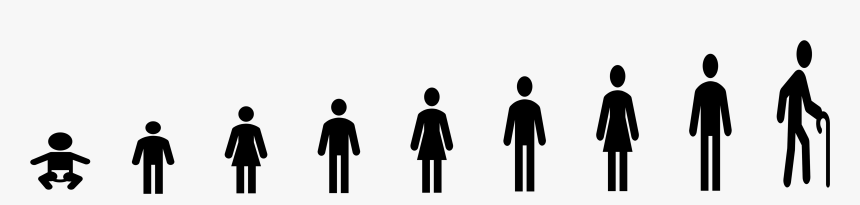 Stage Of Life Png, Transparent Png , Transparent Png Image - PNGitem