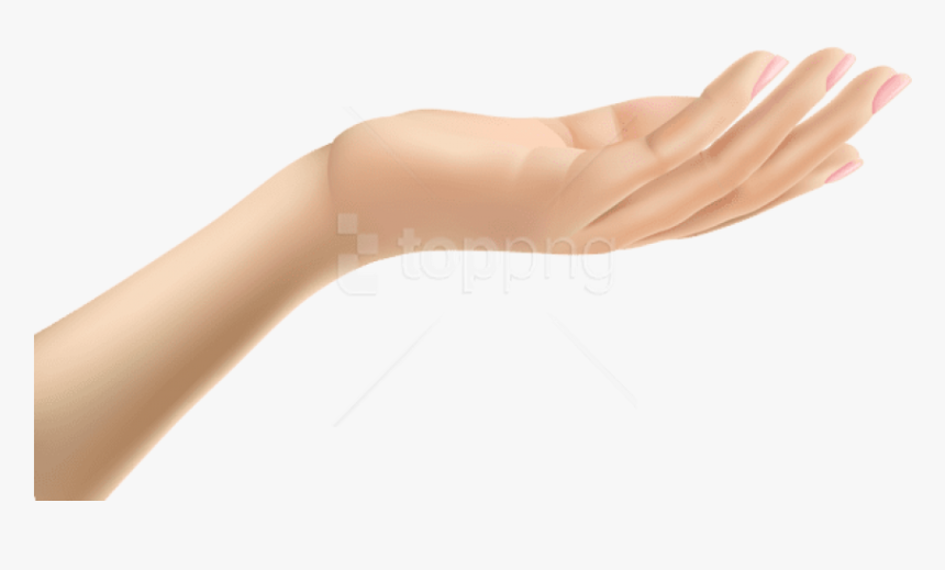 Download Female Hand - Clip Art Hands Transparent, HD Png Download ...