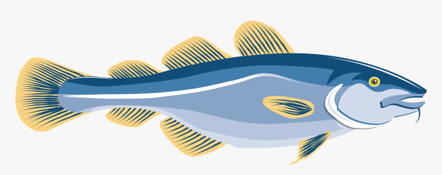 Fish At Getdrawings Com - Cod Fish Clipart Png, Transparent Png ...