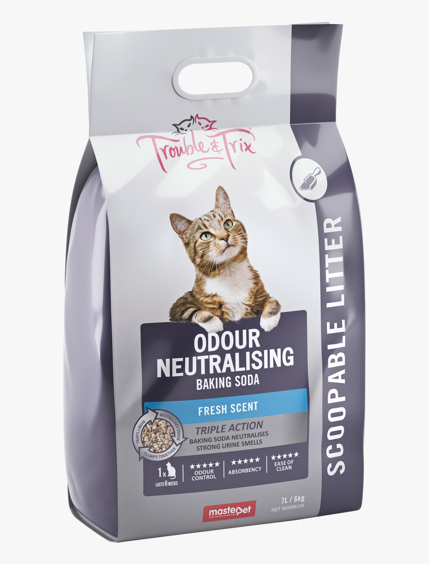 Litter Box, HD Png Download , Transparent Png Image - PNGitem