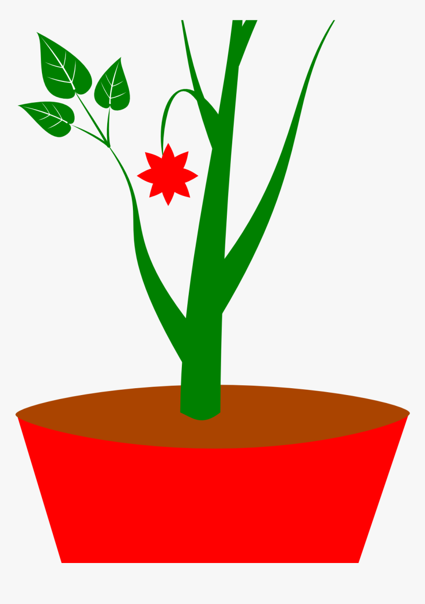 Potted Flower Pot Black And White Gsagri - Clip Art Image Of Gamla, HD ...