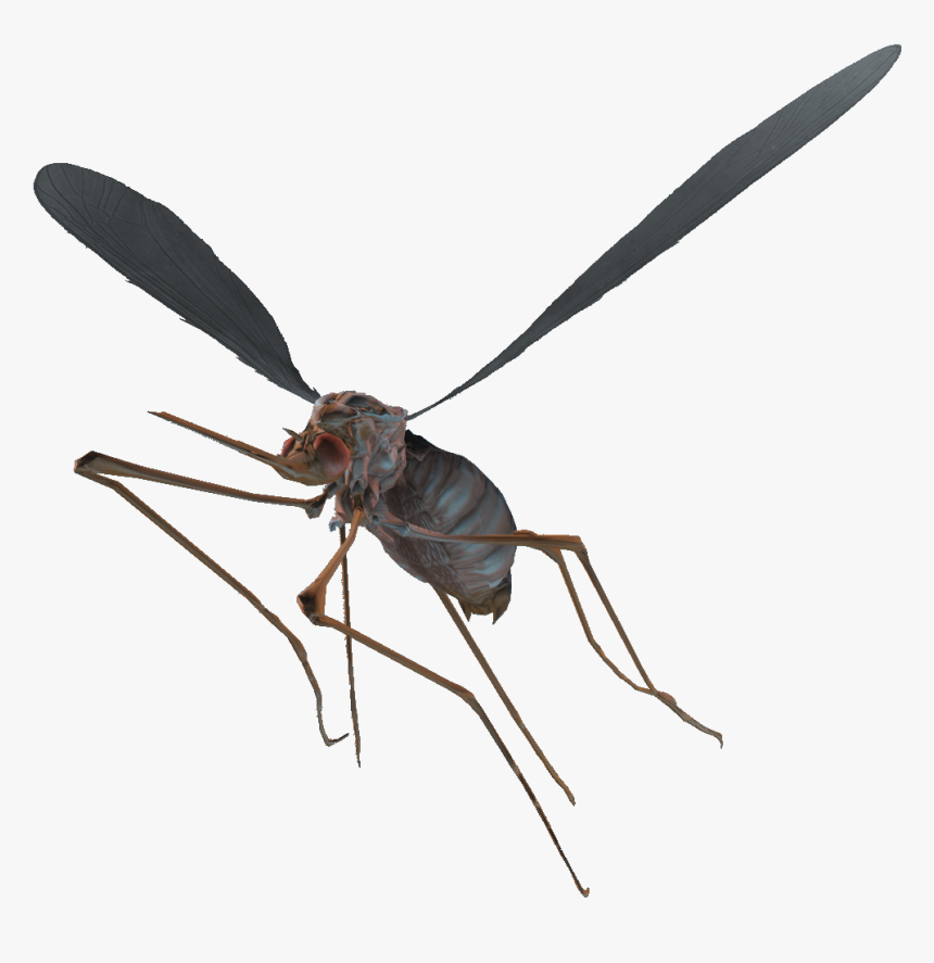 Nukapedia The Vault - Fallout 4 Bloodbug, HD Png Download , Transparent ...