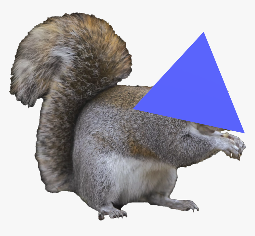 0 1528495601270 Untitled - Gray Squirrel Png, Transparent Png ...