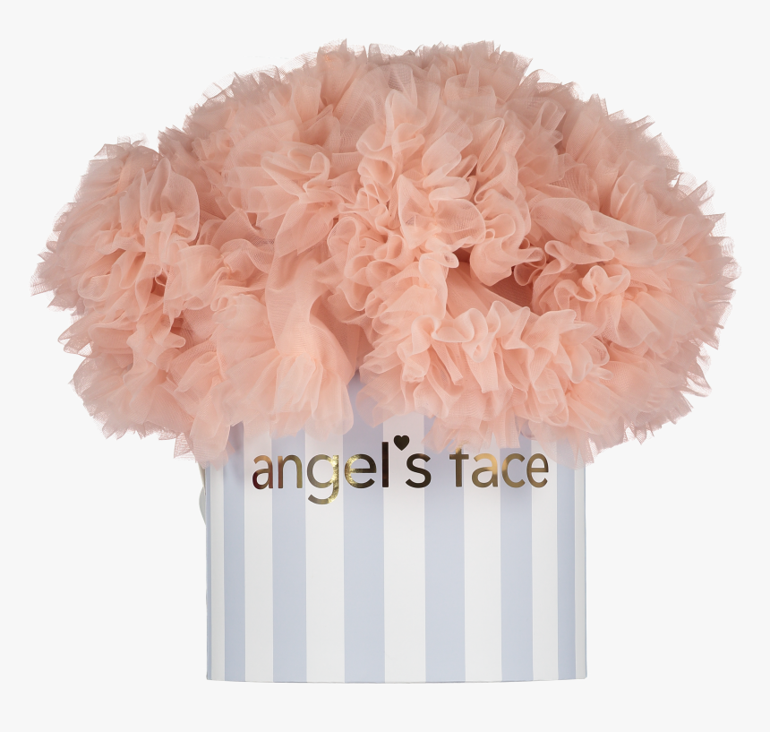 Angel S Face Tutu Gift Box - Angel Face Tutu Box, HD Png Download ...