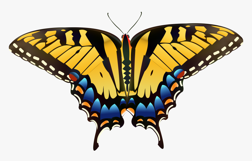 Yellow Butterfly Png Clip Art - Eastern Tiger Swallowtail Drawing ...