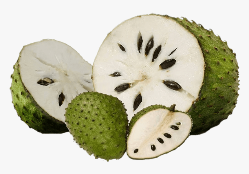 Fresh Soursop - Mul Seethapalam In Chennai, HD Png Download ...