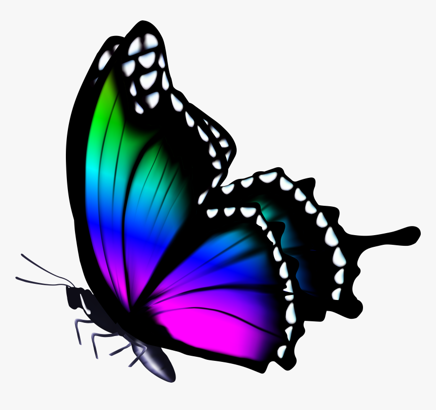 Butterfly Clipart Colorful - Png Images Full Hd, Transparent Png ...