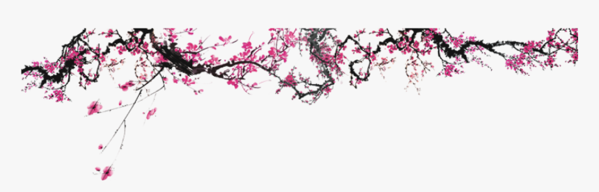 Cherry Blossom Header Png, Transparent Png , Transparent Png Image ...