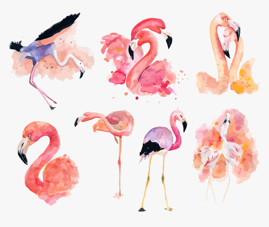 Watercolor Clipart Flamingo - Pink Flamingo Flamingo Clipart, HD Png ...