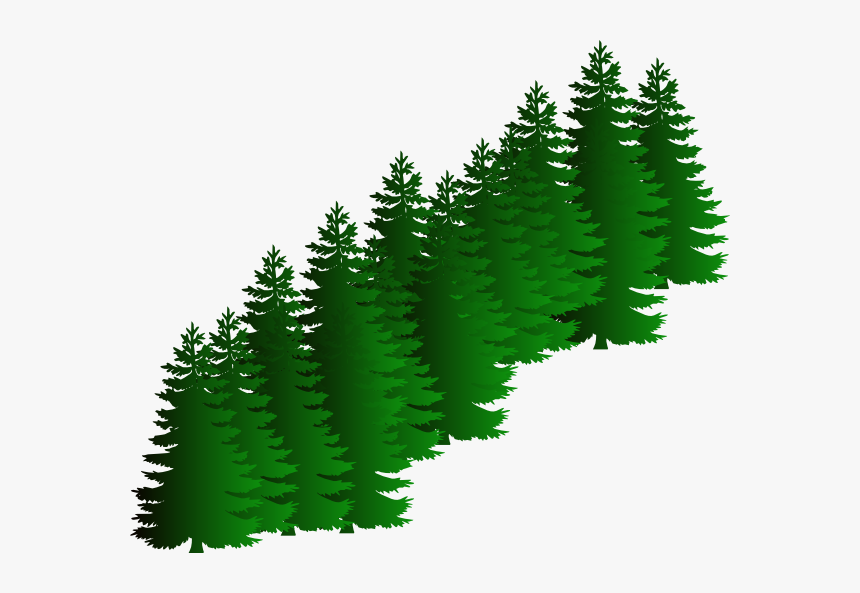 Evergreen Cluster Clip Art - Vector Pine Tree Png, Transparent Png ...