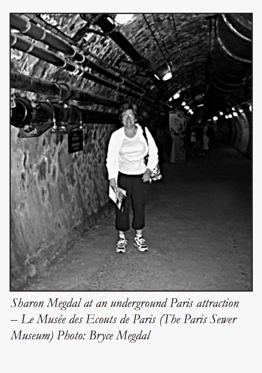 Snapshot, HD Png Download , Transparent Png Image - PNGitem