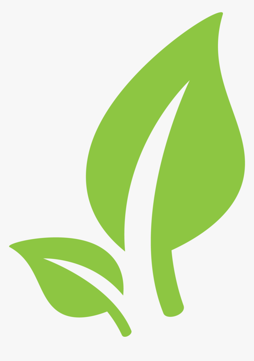 Sprouting Leaders - Bean Sprout Clipart Transparent Background, HD Png ...