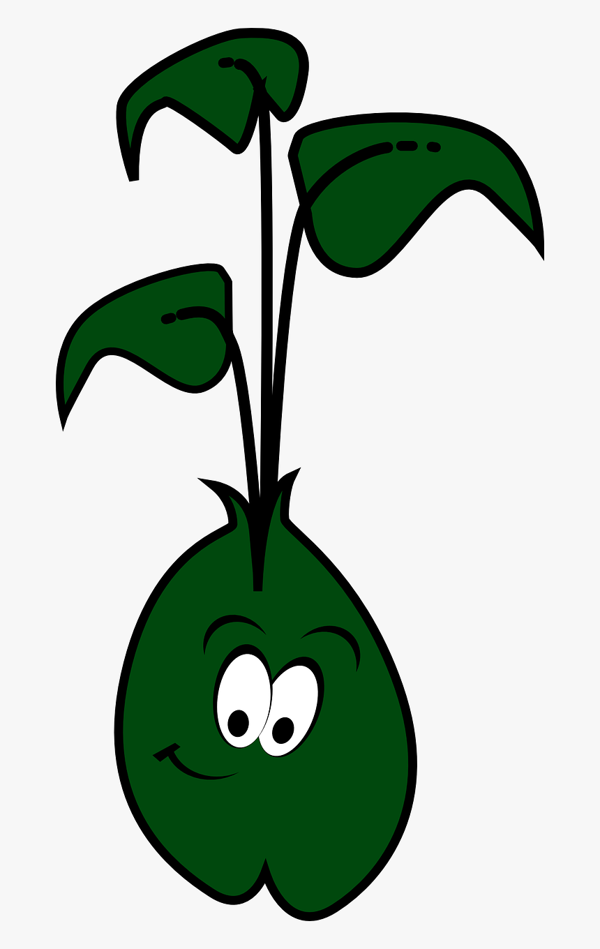 Cartoon Alfalfa Sprouts, HD Png Download , Transparent Png Image - PNGitem