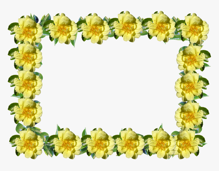 Yellow Roses Border