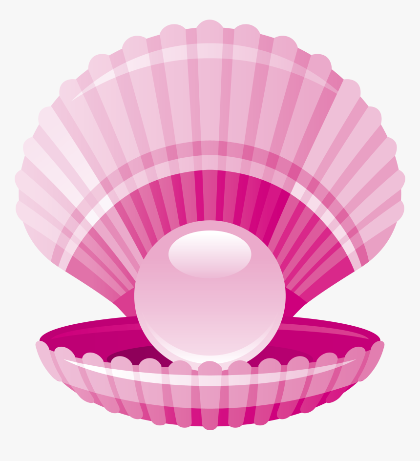 Seashell Pink Fresh Shell - Sea Shell Clipart Png, Transparent Png ...