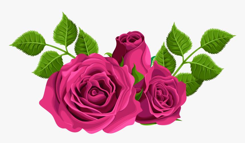 Pink Roses Png - Hybrid Tea Rose Png, Transparent Png , Transparent Png ...