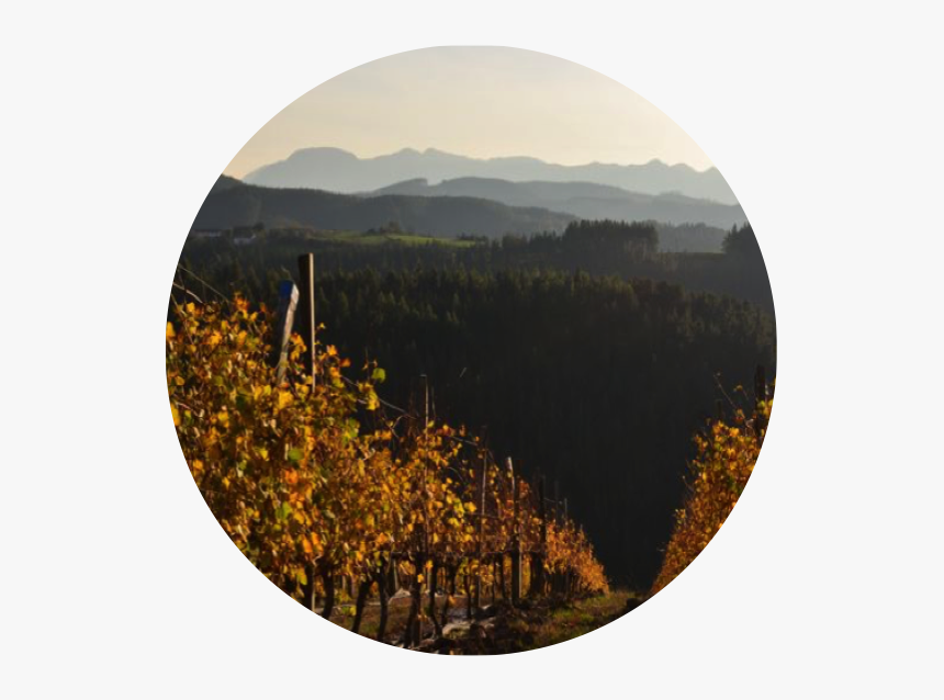 Round Nature Images Png, Transparent Png , Transparent Png Image - PNGitem