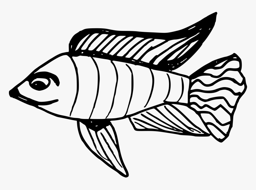 Fish Drawing, HD Png Download , Transparent Png Image - PNGitem