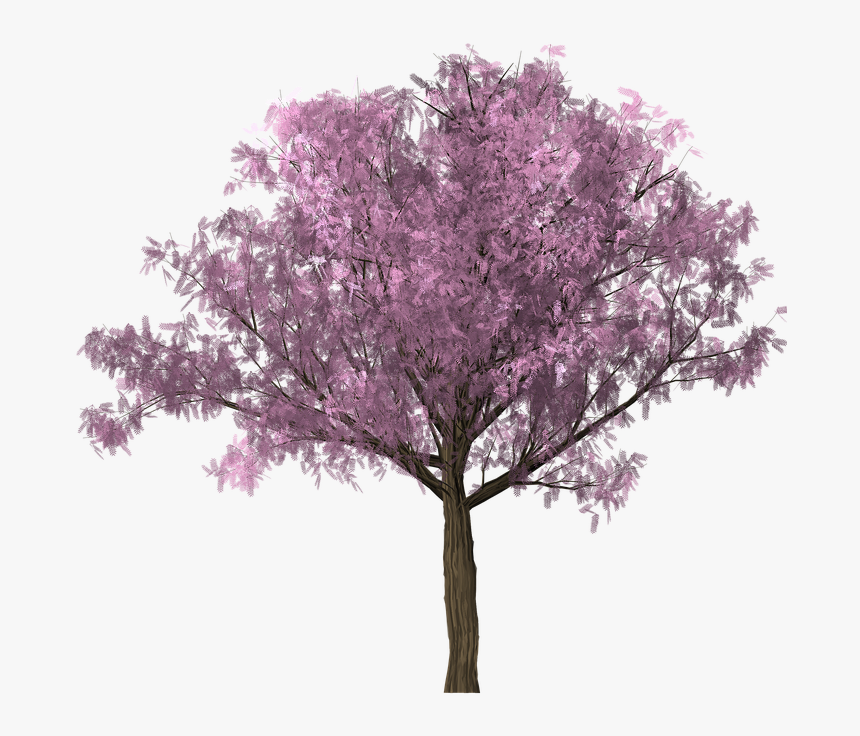 Tree, Design, Graphics, Clipping, Scrap, Photoshop - Cherry Blossom ...