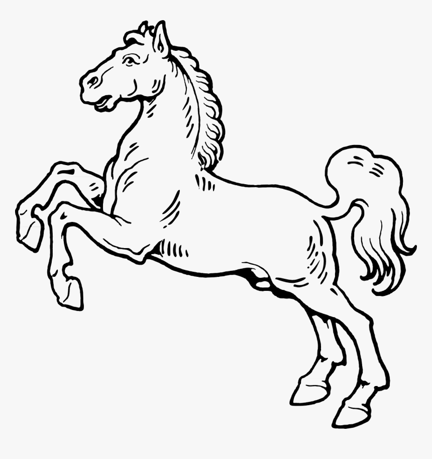 Free Stock Photo Illustration - Kuda Black And White, HD Png Download ...