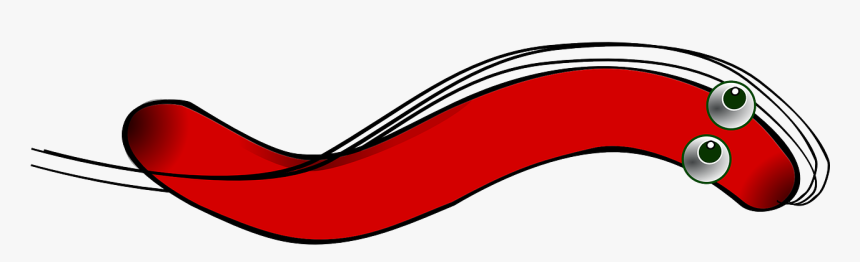 Bacteria Helicoidales Dibujo, HD Png Download , Transparent Png Image ...