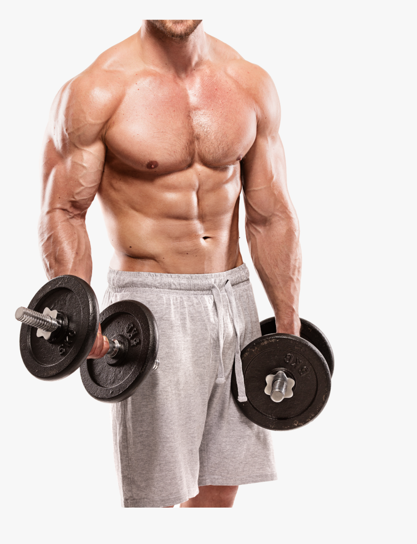 1255 X 1433 - Gym Workout Png, Transparent Png , Transparent Png Image ...