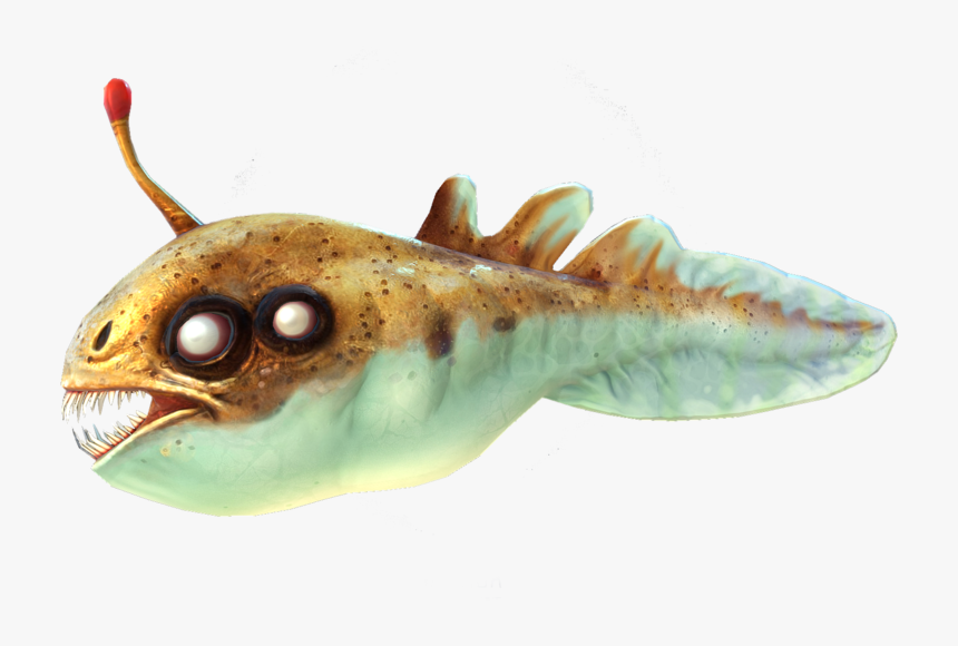 Blighter Species Fandom Powered By Wikia Blighter Alien - Cartilaginous ...