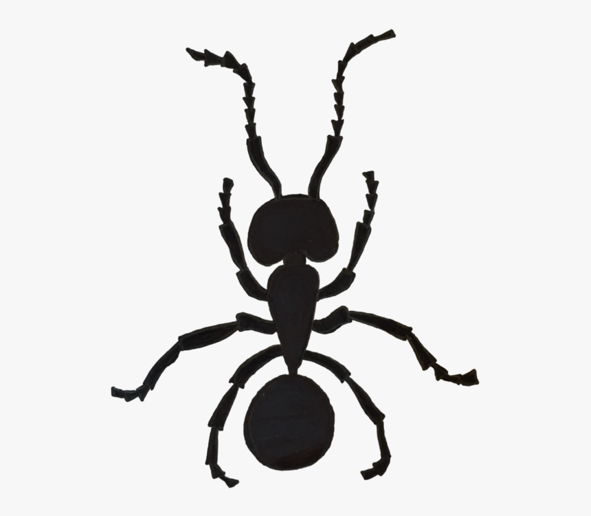 Illustration Of An Argentine Ant By Tikloh Bruno-basaing%2c ...