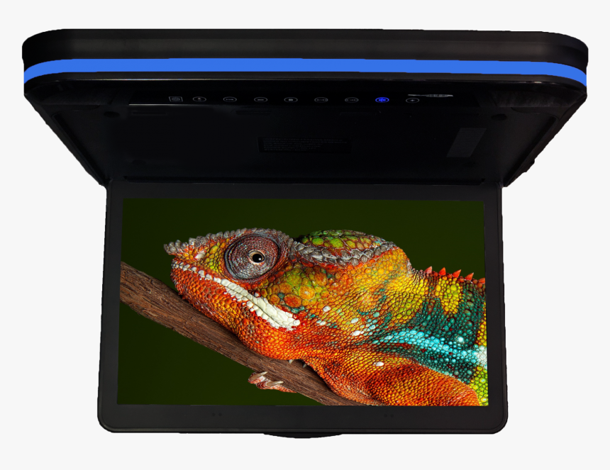 Cfd-158 - Chameleon 15 - - Computer Monitor, HD Png Download ...