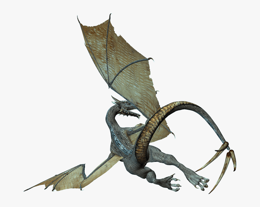 Transparent Dragon Png Images - Dragon With White Background, Png ...