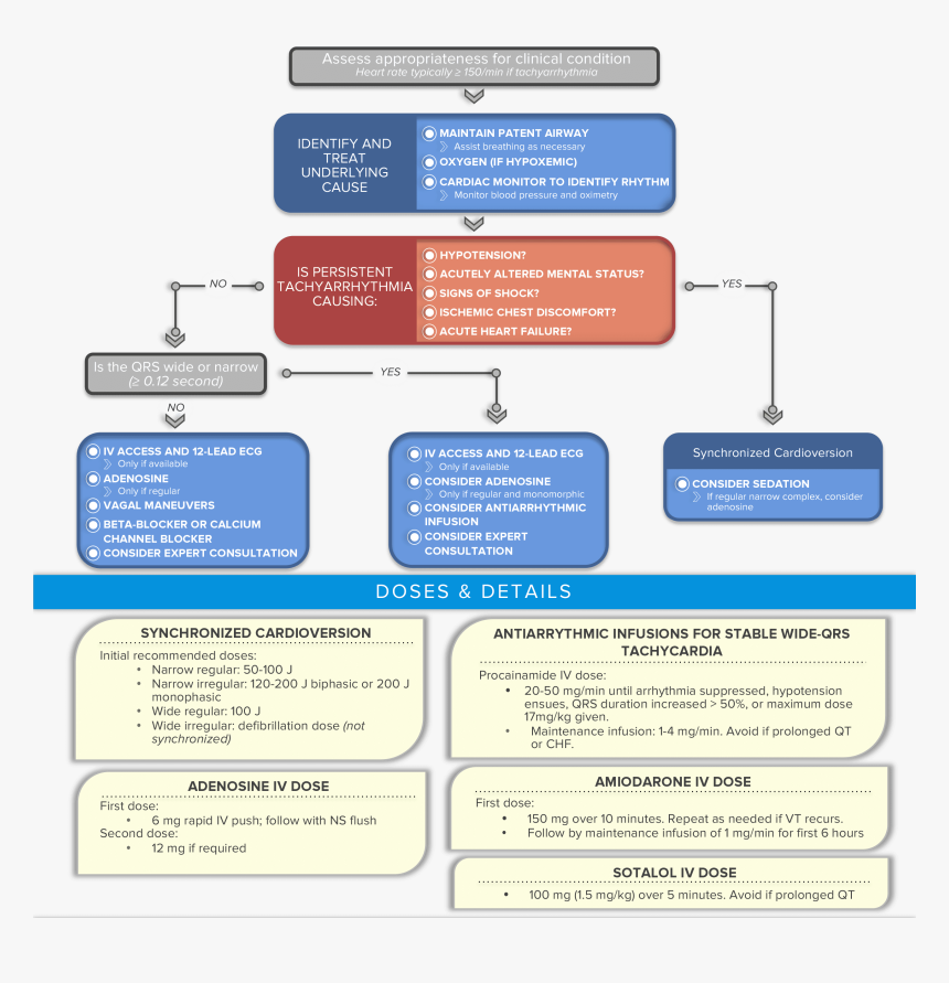 Algorithm Acls Tachycardia With A Pulse - Tachycardia Acls Algorithm 2019, HD Png Download ...