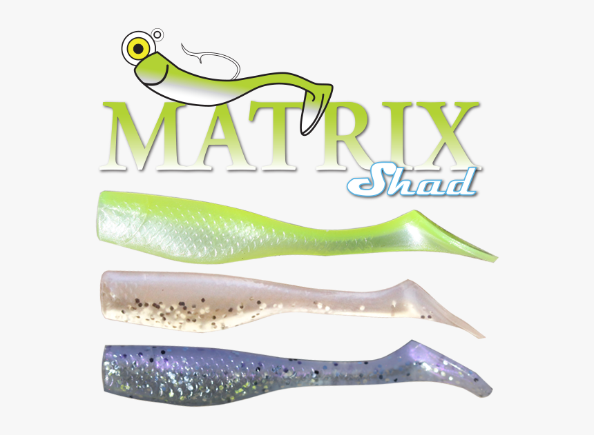 Matrix Shad, HD Png Download , Transparent Png Image - PNGitem