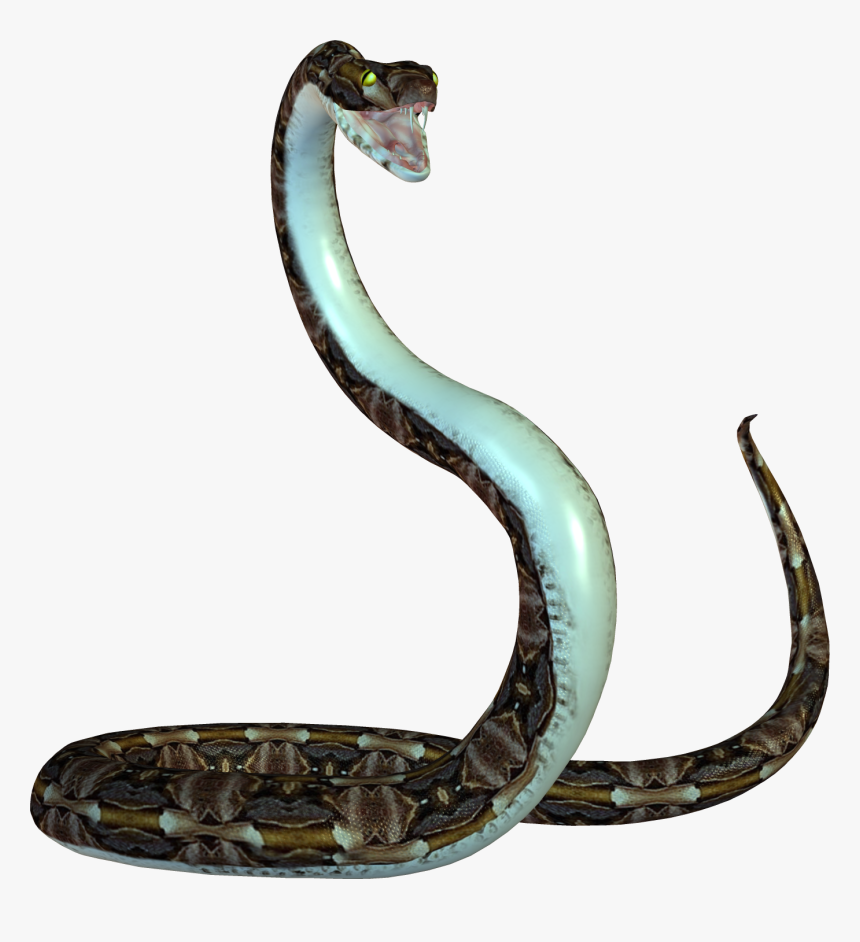 Snake Png Image Picture Download Free - Animated Snake Png, Transparent ...