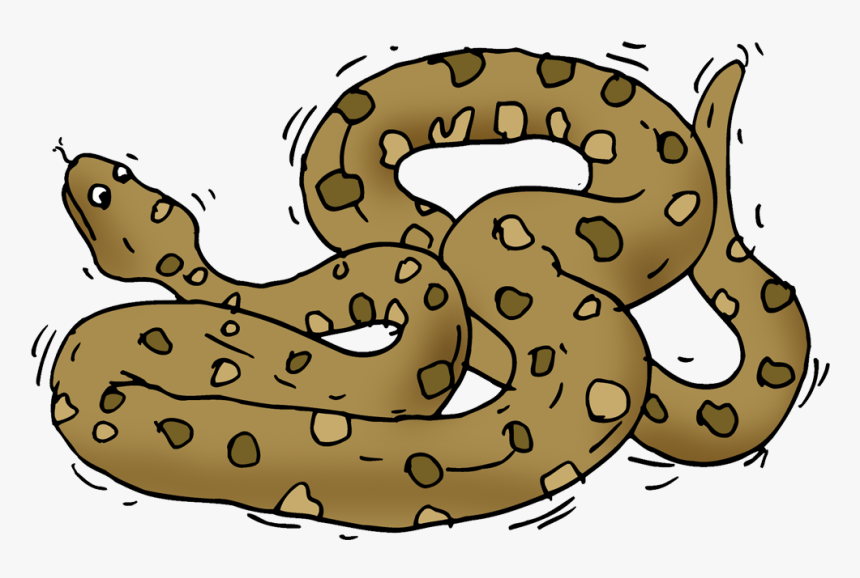Anaconda Clipart, HD Png Download , Transparent Png Image - PNGitem