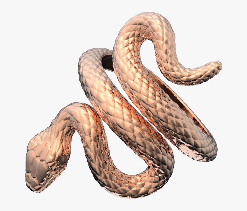 Serpent, HD Png Download , Transparent Png Image - PNGitem